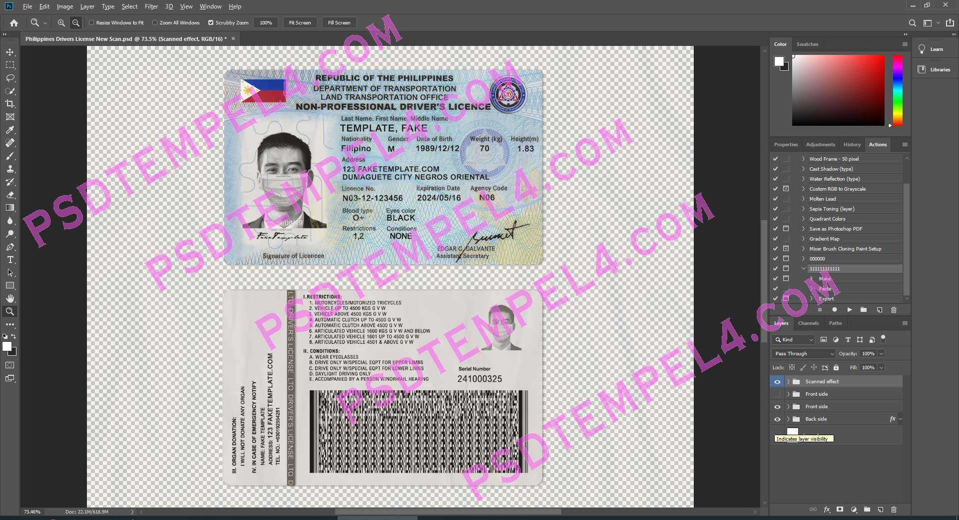 download Philippines Driver License psd fake template full editable